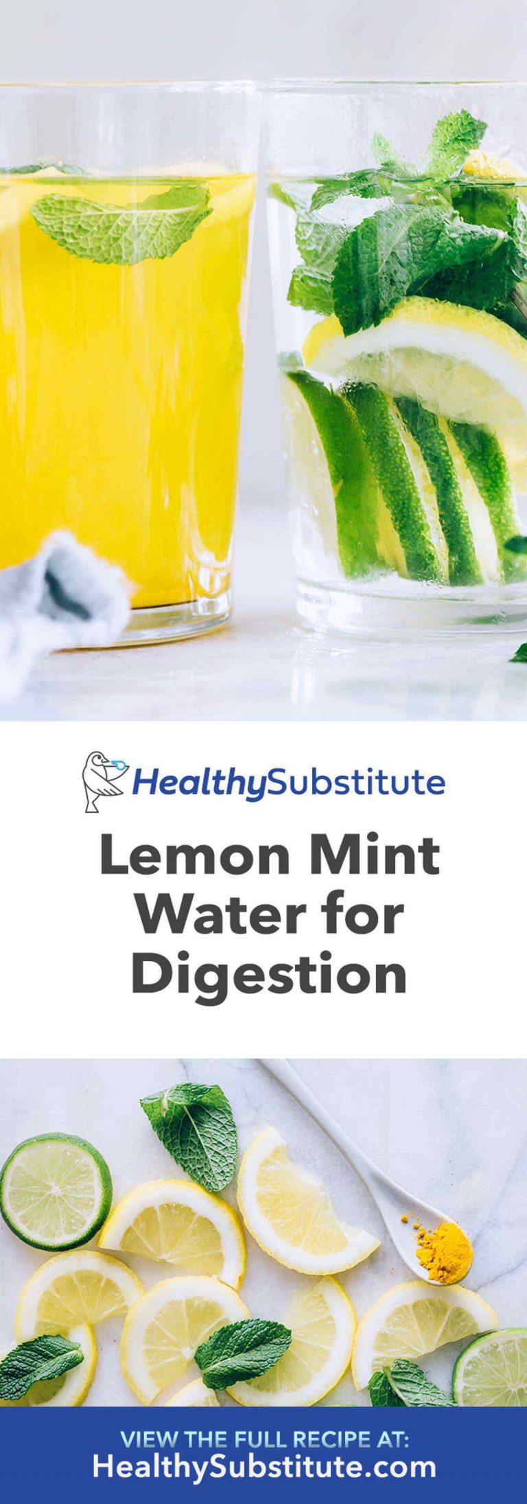 Hot and Cold Lemon Mint Water for Healthy Digestion - Healthy Substitute